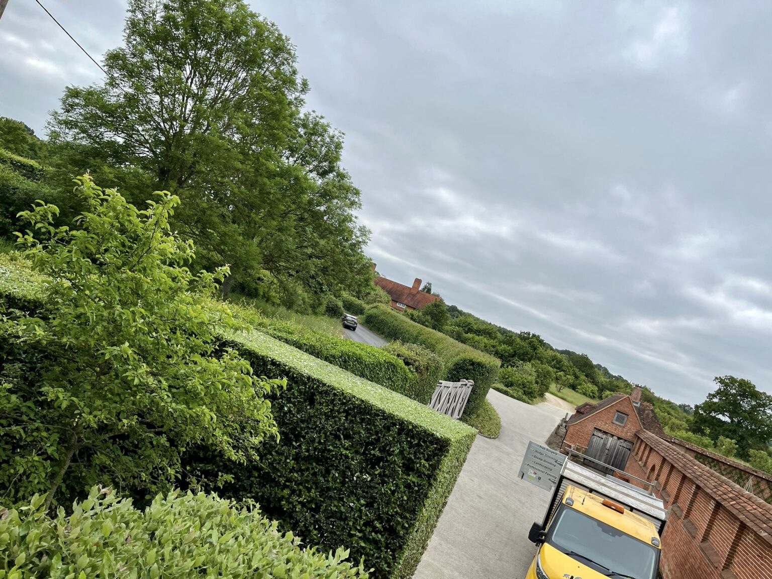 Step-by-Step: How and When to Trim Box Hedge