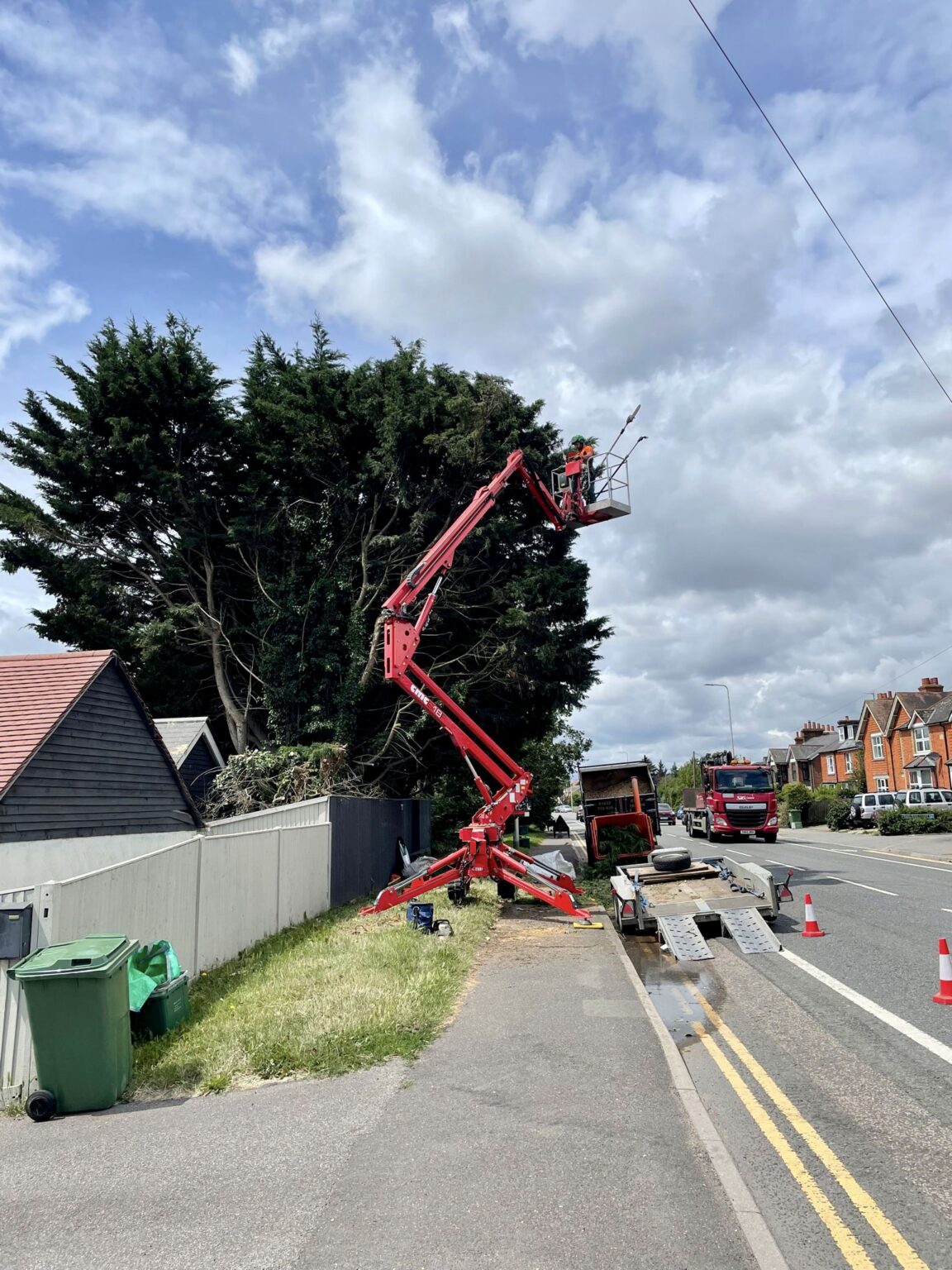 What is a Tree Surgeon? What Does a Tree Surgeon Do?