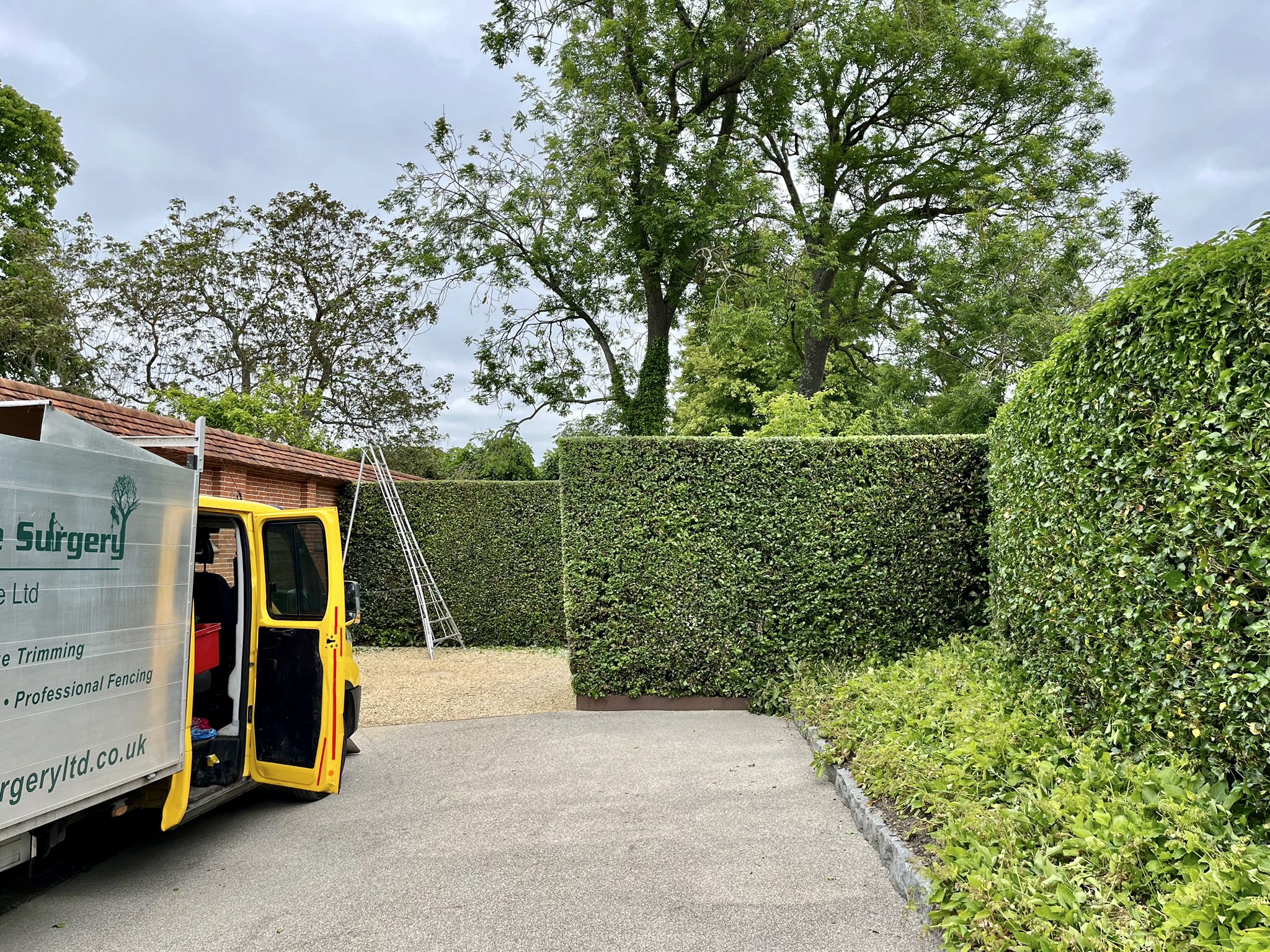 Step-by-Step: How and When to Trim Box Hedge
