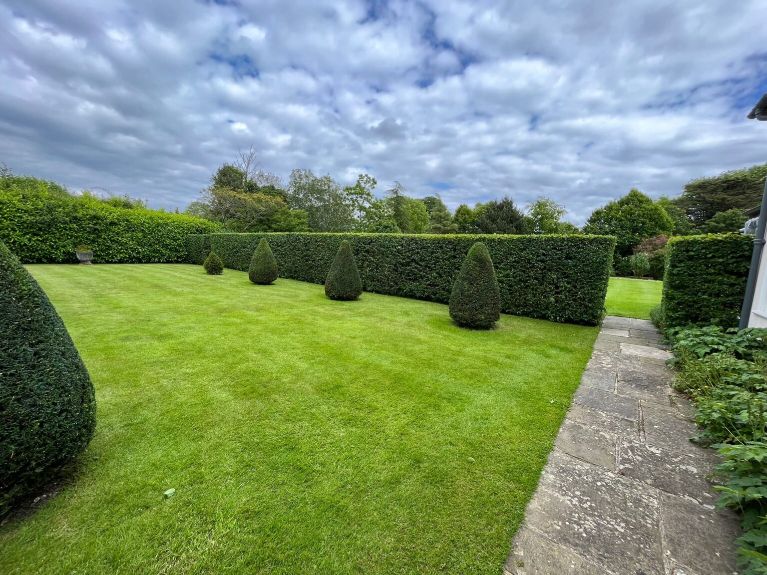 What Is the Legal Height of a Hedge Between Neighbours UK